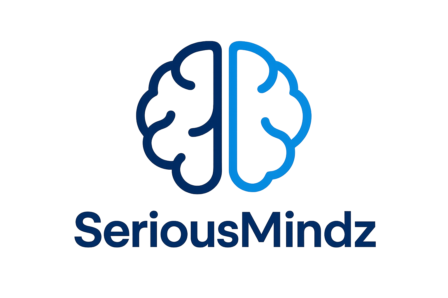 seriousmindz-hormozi-playbook